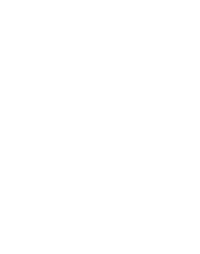 VENDETTA FILMS